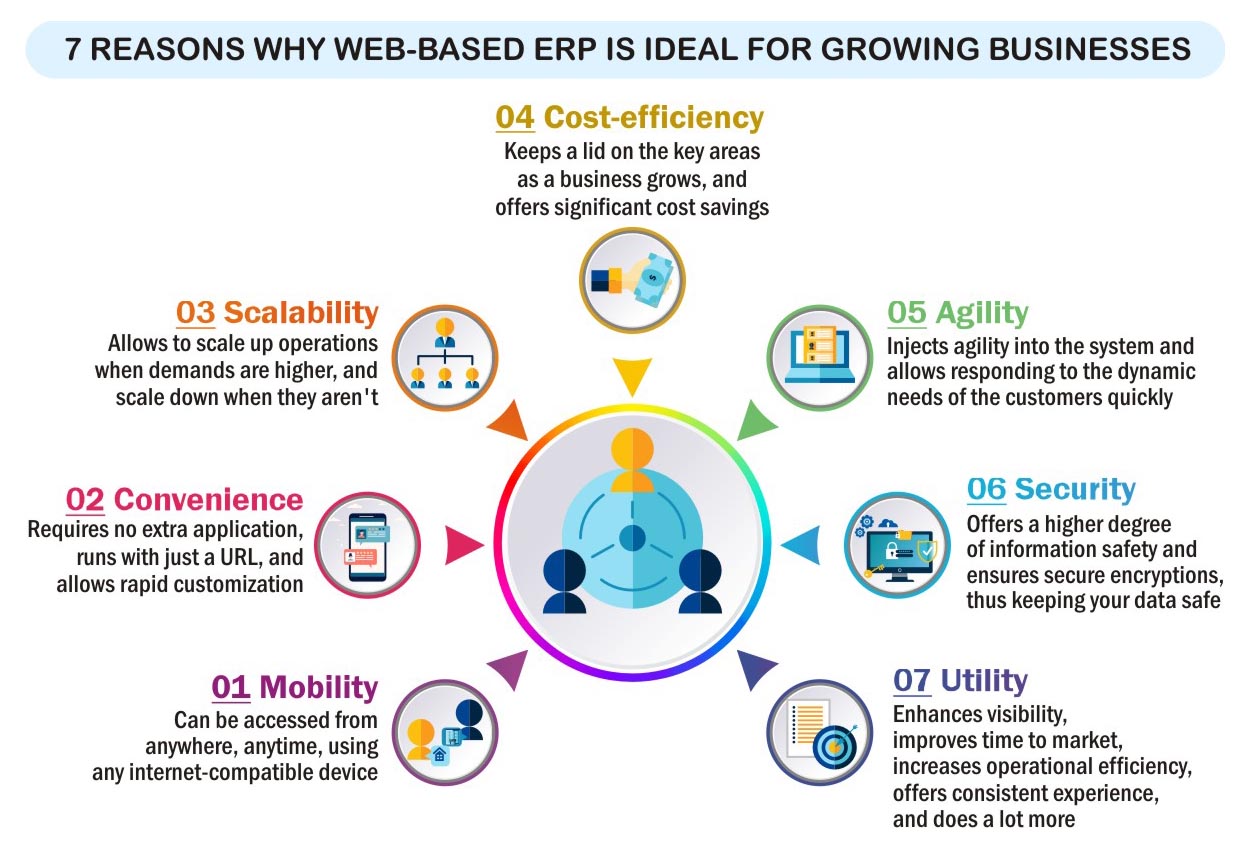 7 Reasons Why a Web ERP is Ideal for growing businesses
